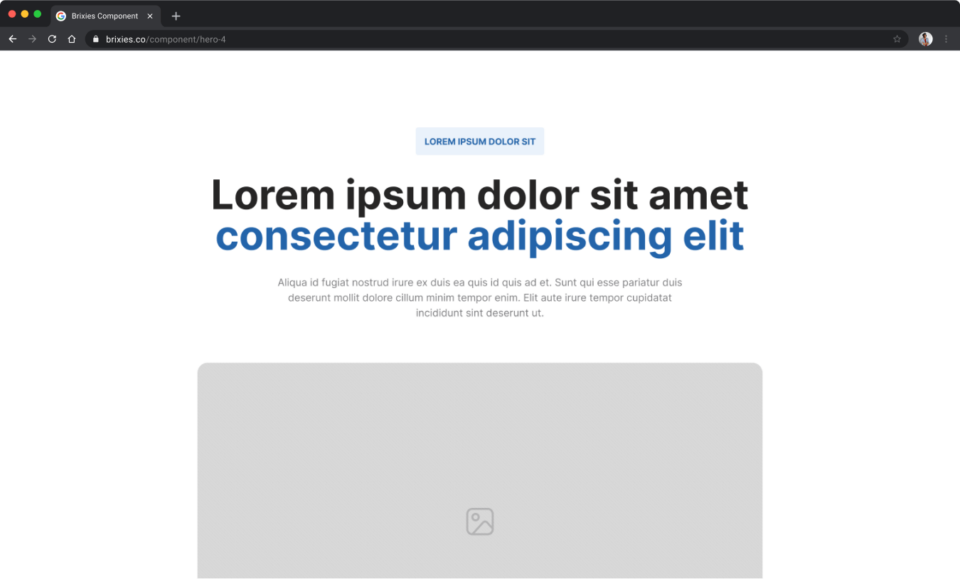 The Missing Piece in your Bricks Builder Workflow | Brixies